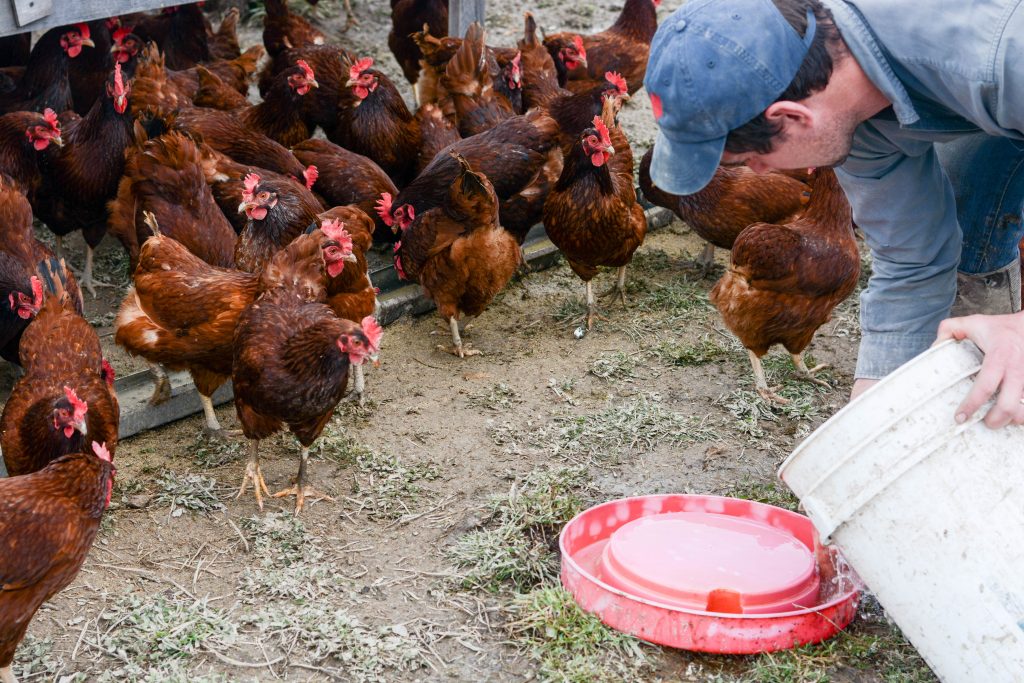 Mark Trapp | Farming – Belief Project